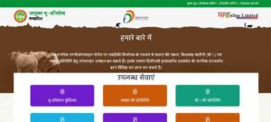 RCMS MPOnline: A Practical Tool, Not Just Another Government Website